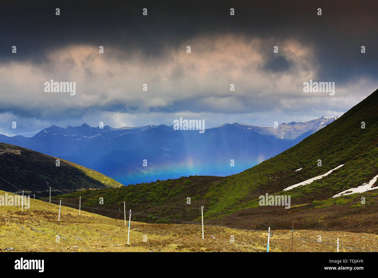 Nature yingzhi scenery hi-res stock photography and images - Alamy