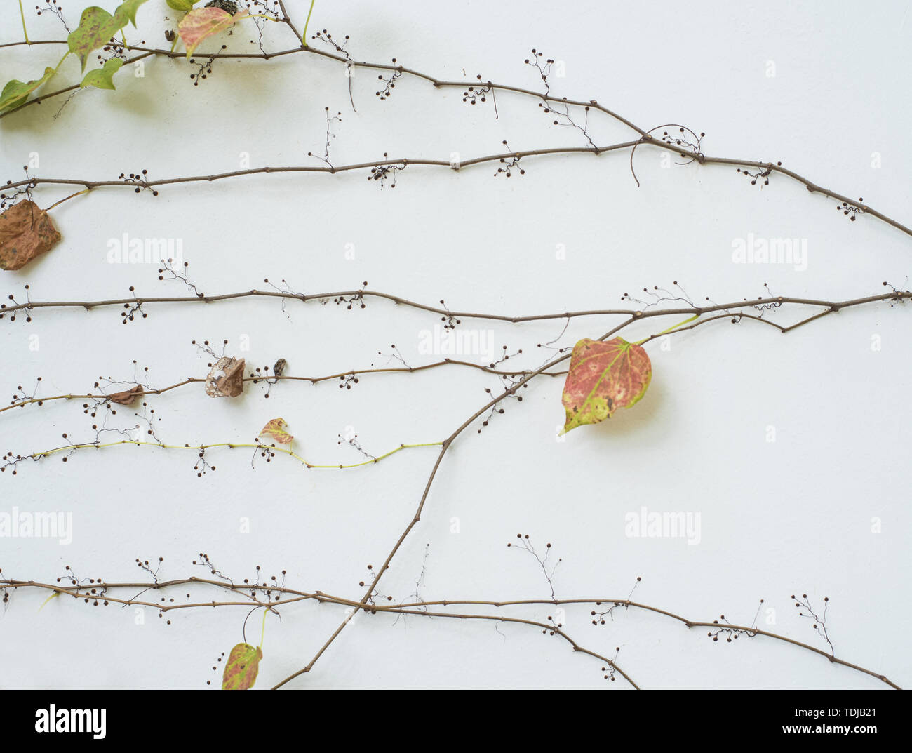 Southern autumn mountain climbers Stock Photo - Alamy