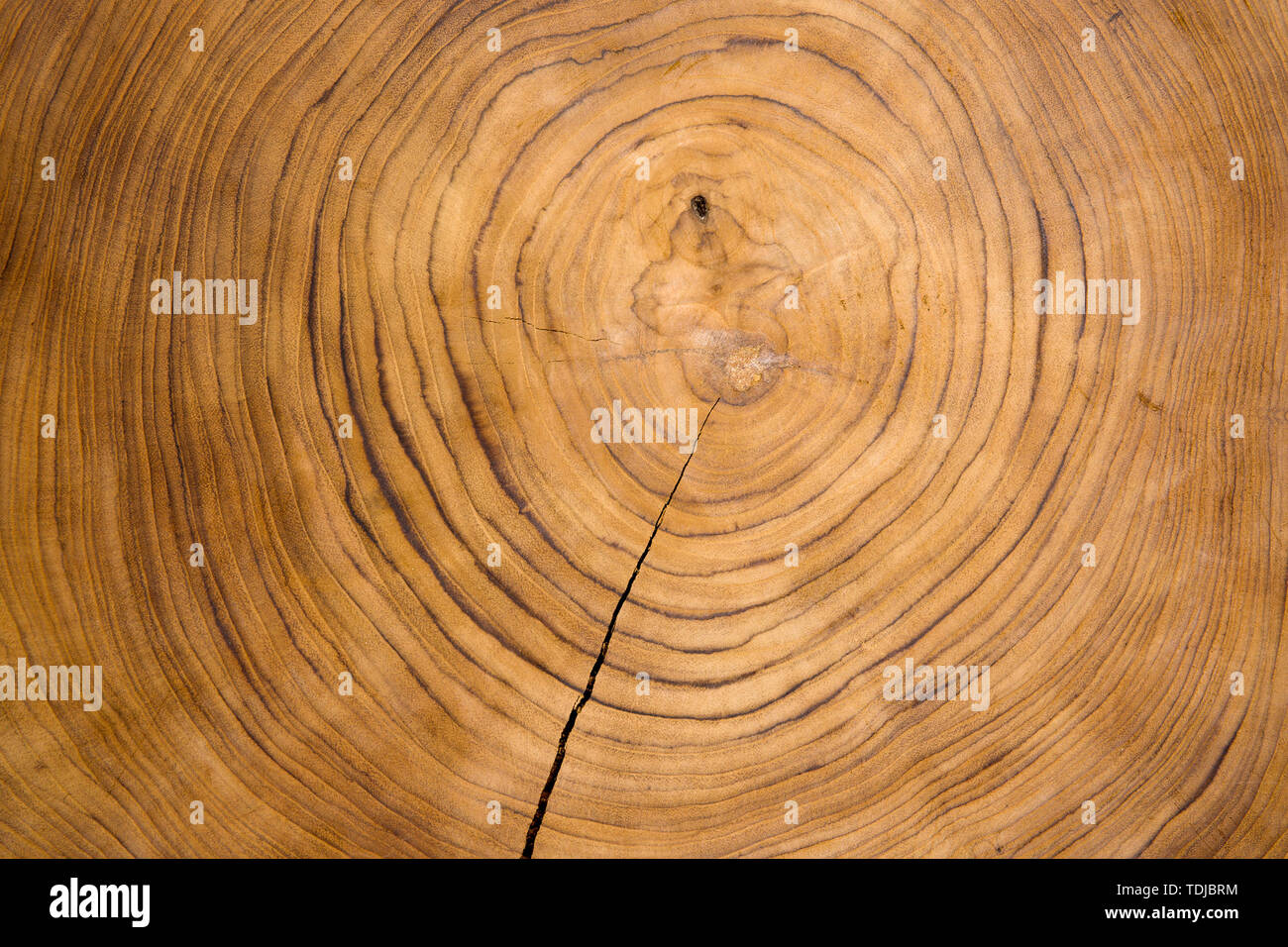Concentric crack hi-res stock photography and images - Alamy