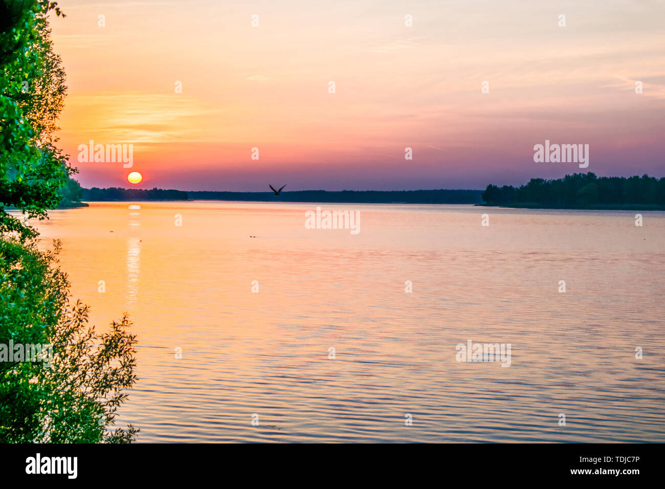 Summer sunrises hi-res stock photography and images - Alamy