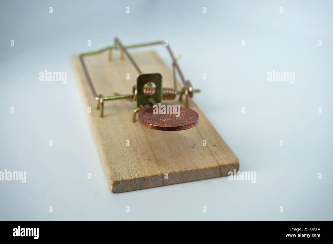 Mouse trap with a penny as bait Stock Photo - Alamy