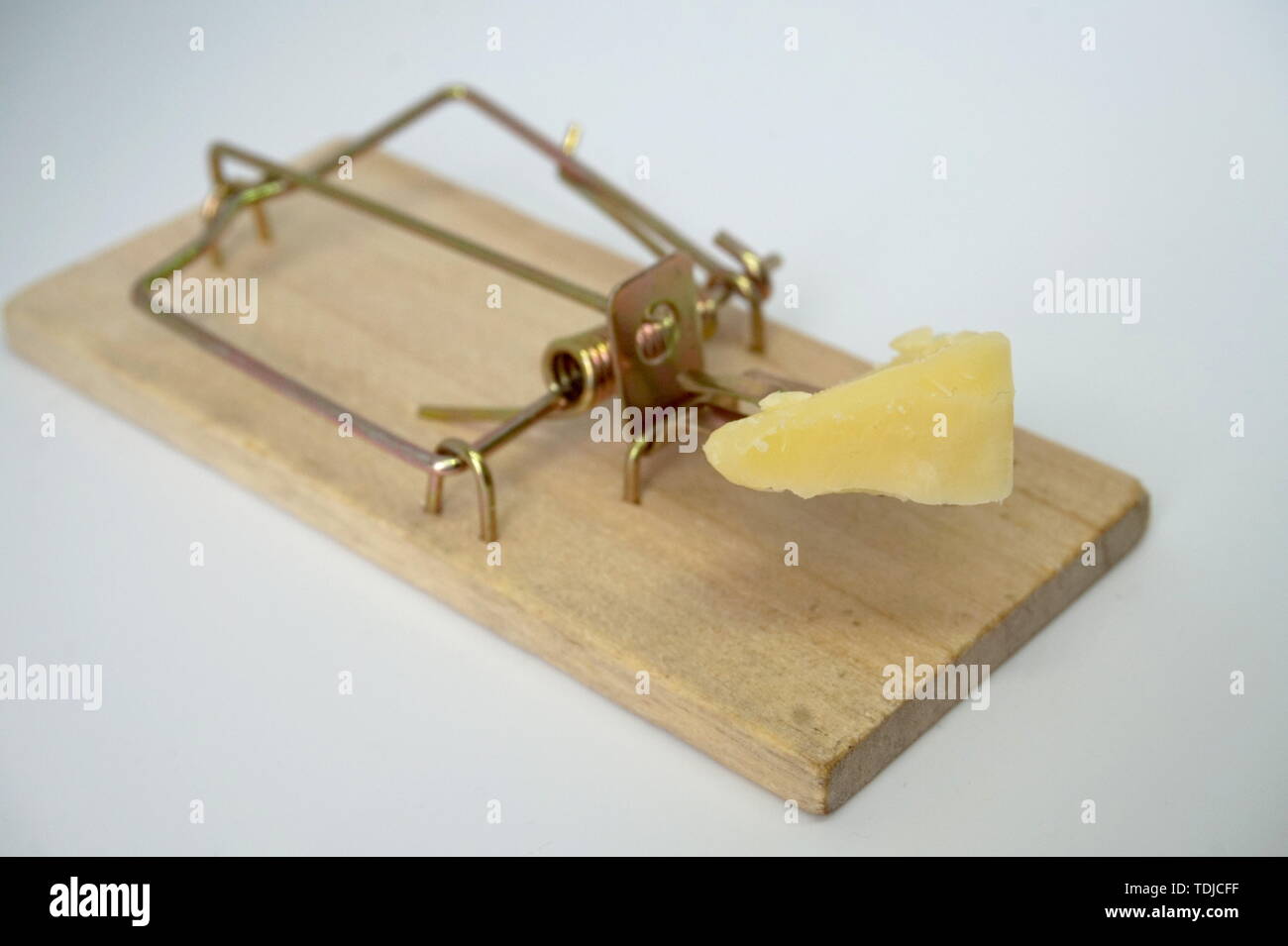 Mousetraps with cheese hi-res stock photography and images - Alamy