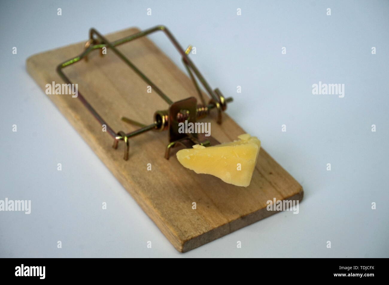 Set mouse trap cheese bait hi-res stock photography and images - Alamy
