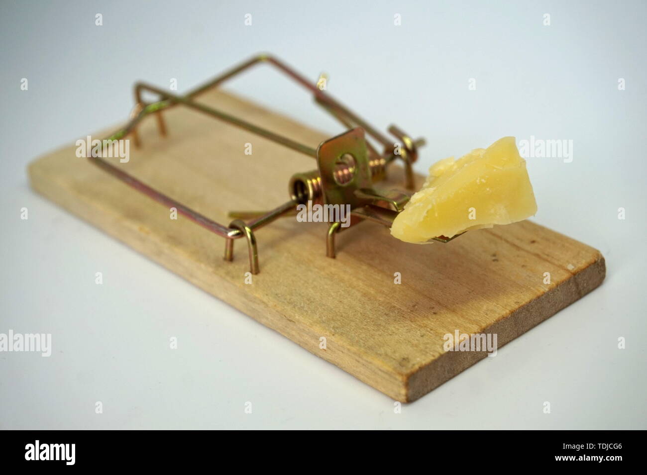 Mousetrap mousetraps mouse trap traps hi-res stock photography and ...