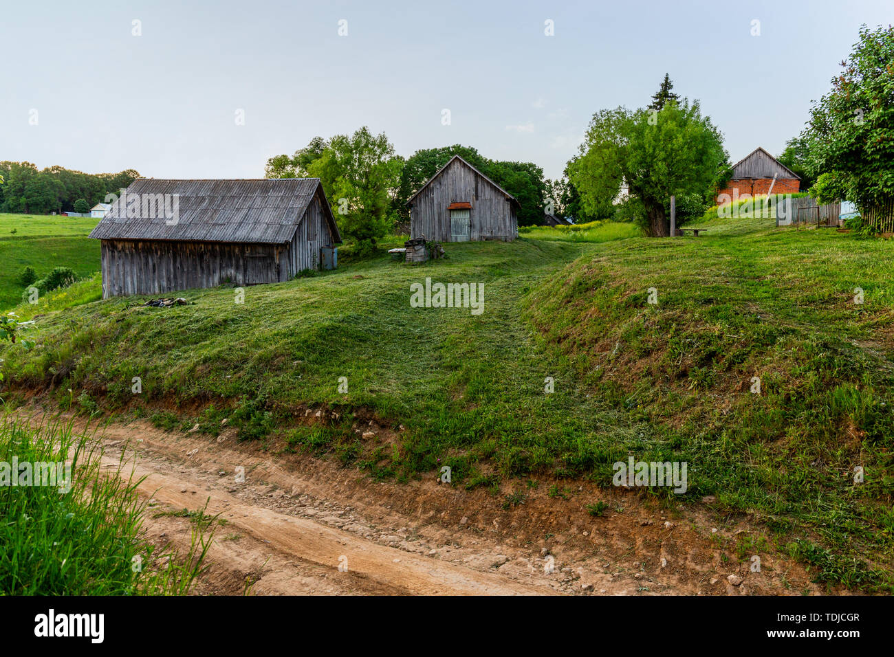 old wooden barns on yard with mowed lawn at summer evening Stock Photo ...