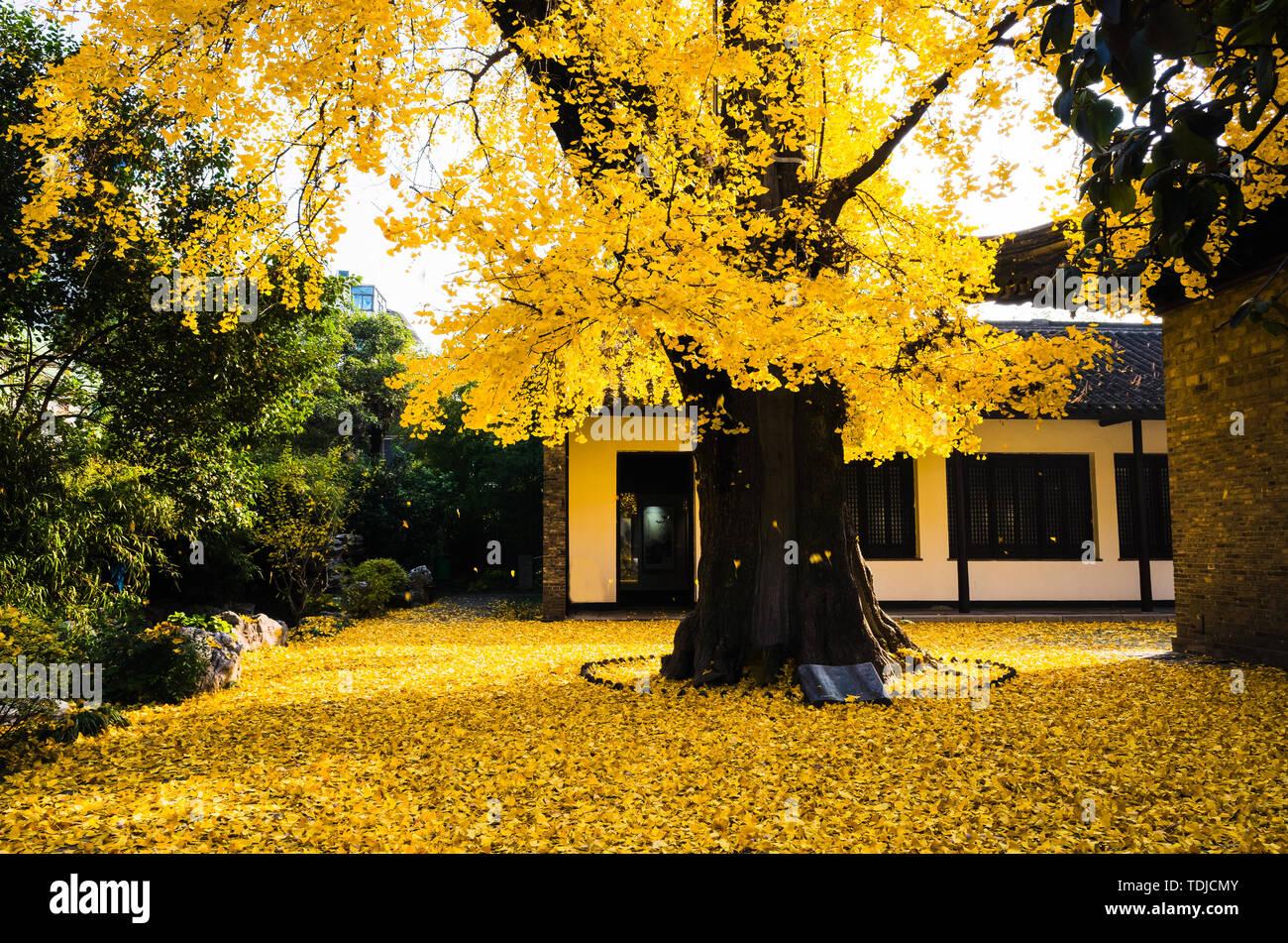 Eight monsters memorial hall hi-res stock photography and images - Alamy