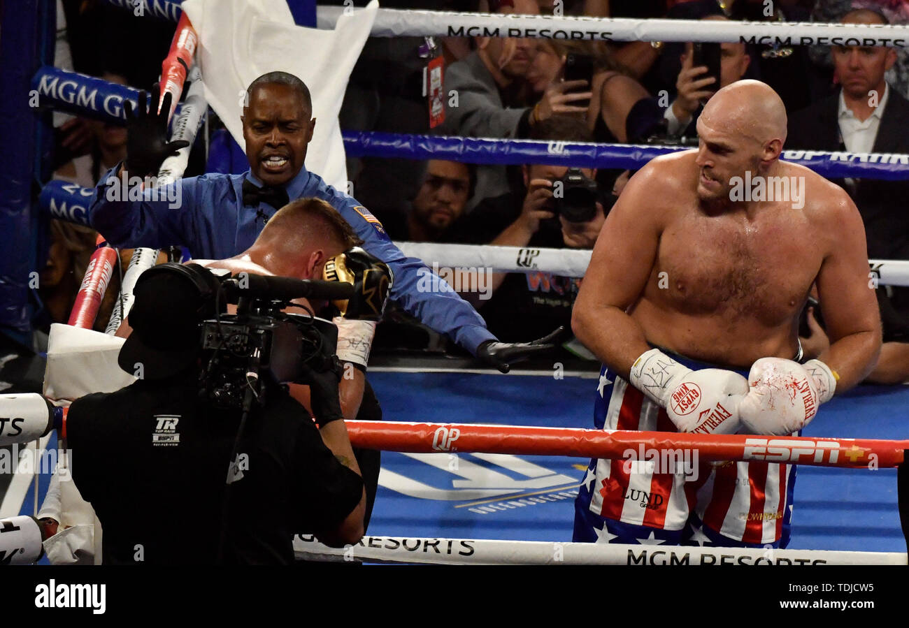 LAS VEGAS, NEVADA - JUNE 15: Referee Kenny Bayless(L) stops Tyson Fury ...