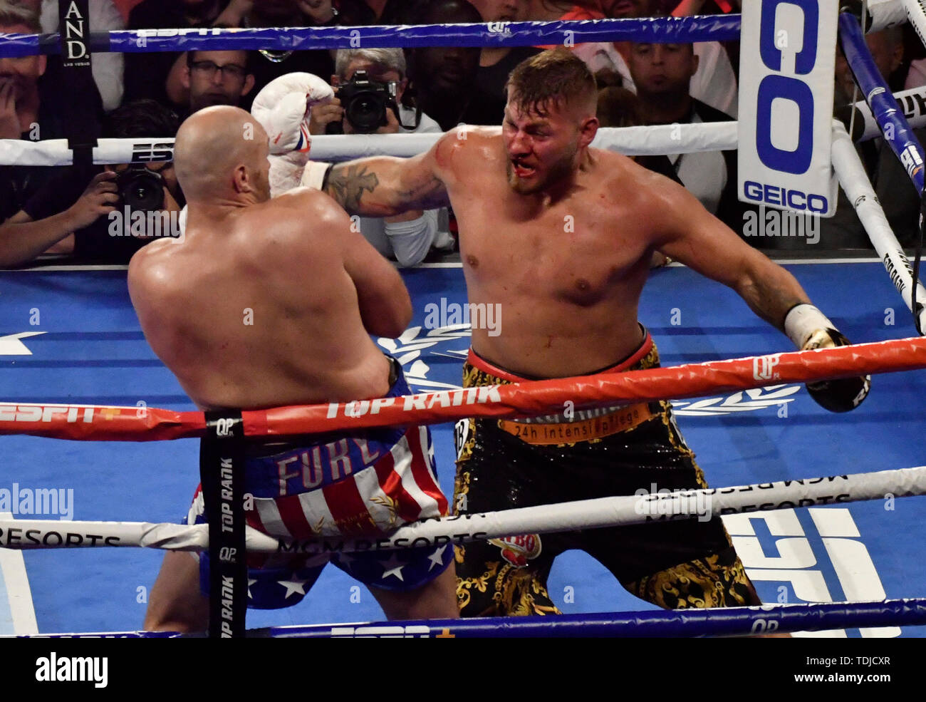 Tom schwarz boxer hi-res stock photography and images - Alamy