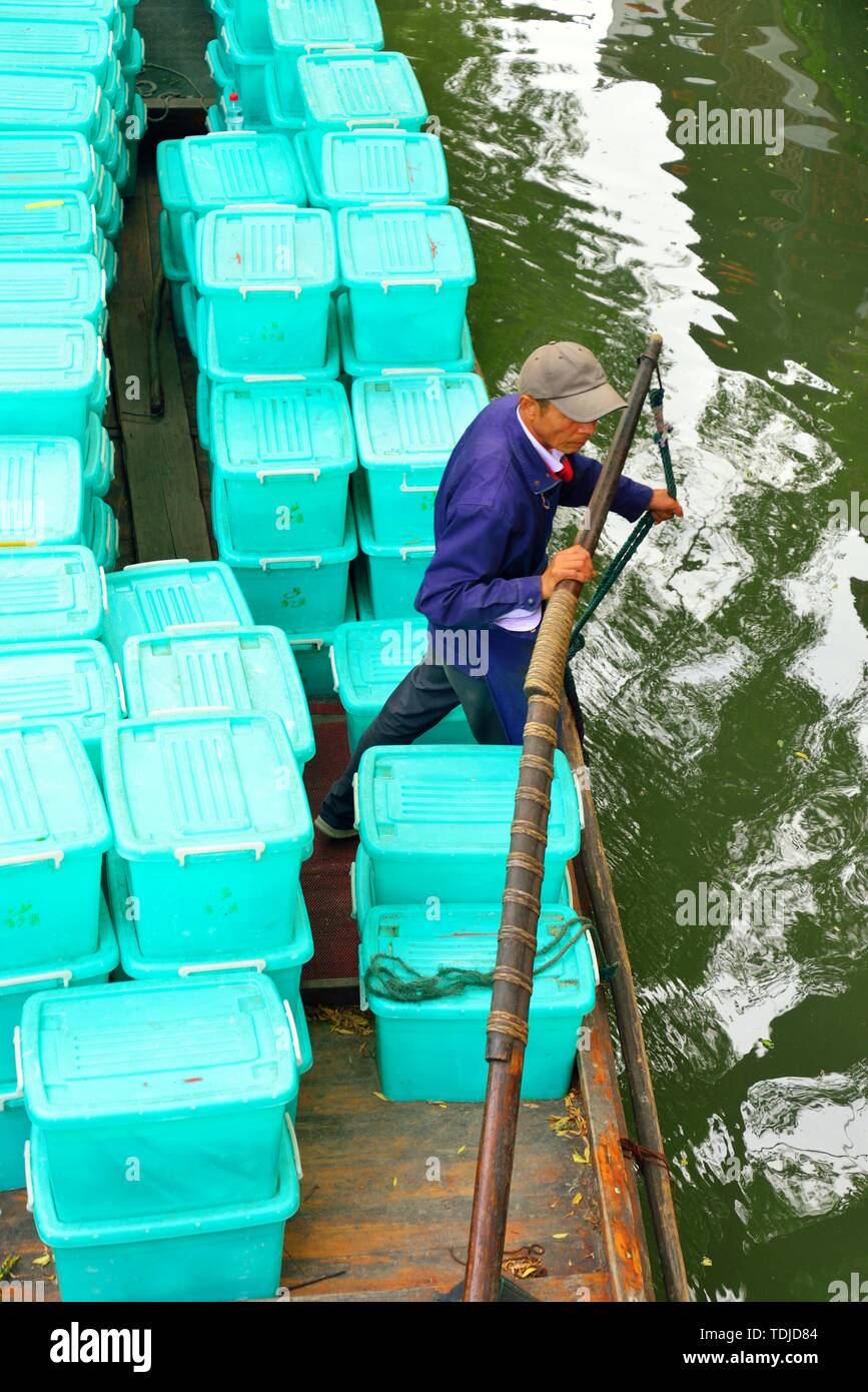 Shipment of fish hi-res stock photography and images - Alamy
