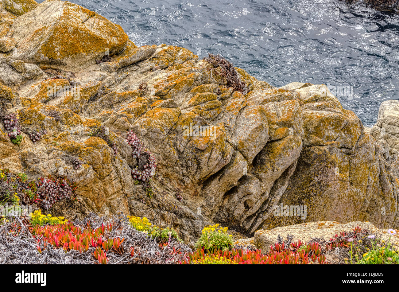 Steep cliffs dropping into ocean hi-res stock photography and images ...
