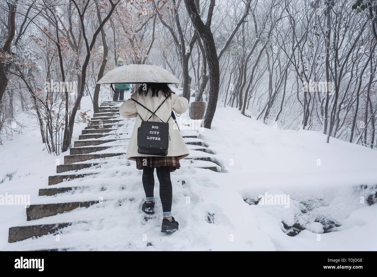 A picture of heavy snow in winter in Purple Jinshan, Nanjing Stock ...