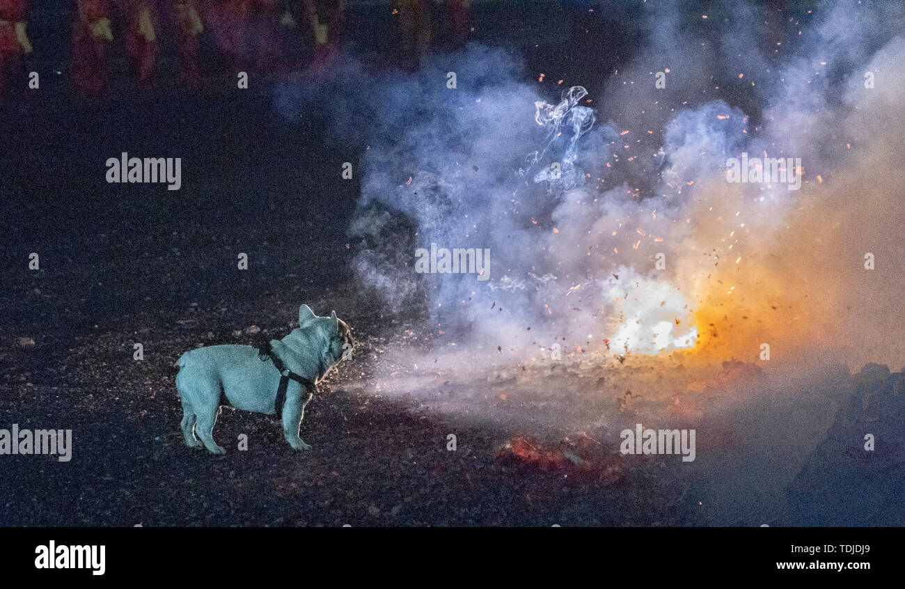 Football festivals hi-res stock photography and images - Alamy