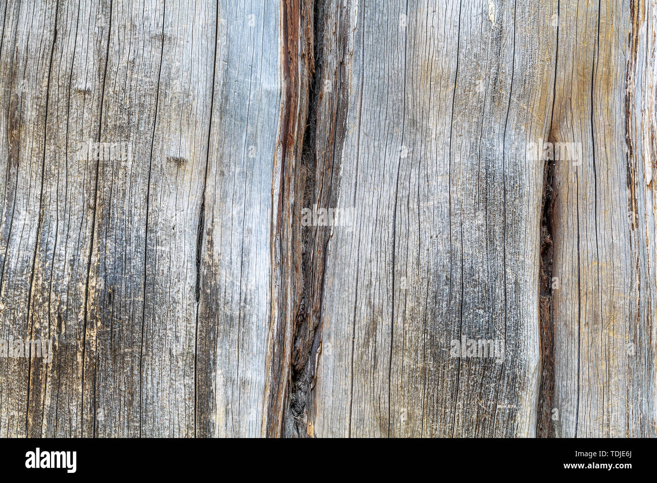 Ancient cypress bark texture Stock Photo - Alamy