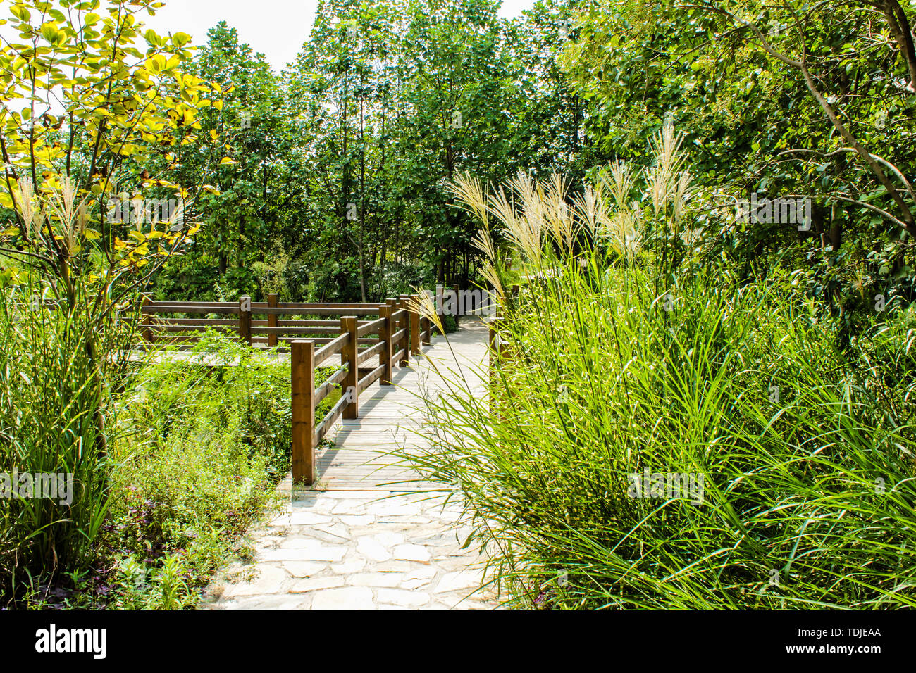 Scenery of Gucun Park in Shanghai Stock Photo - Alamy