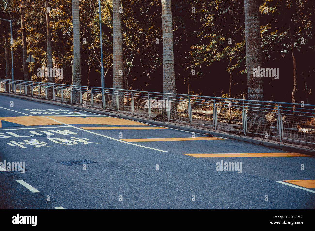 Road landscape with no one tree guide hi-res stock photography and ...