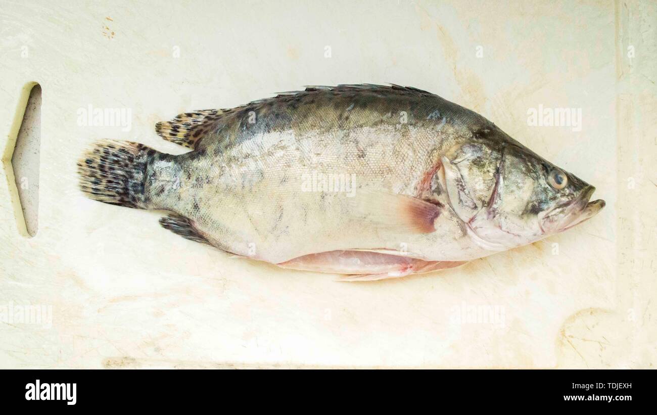 Cinnamon naval hi-res stock photography and images - Alamy