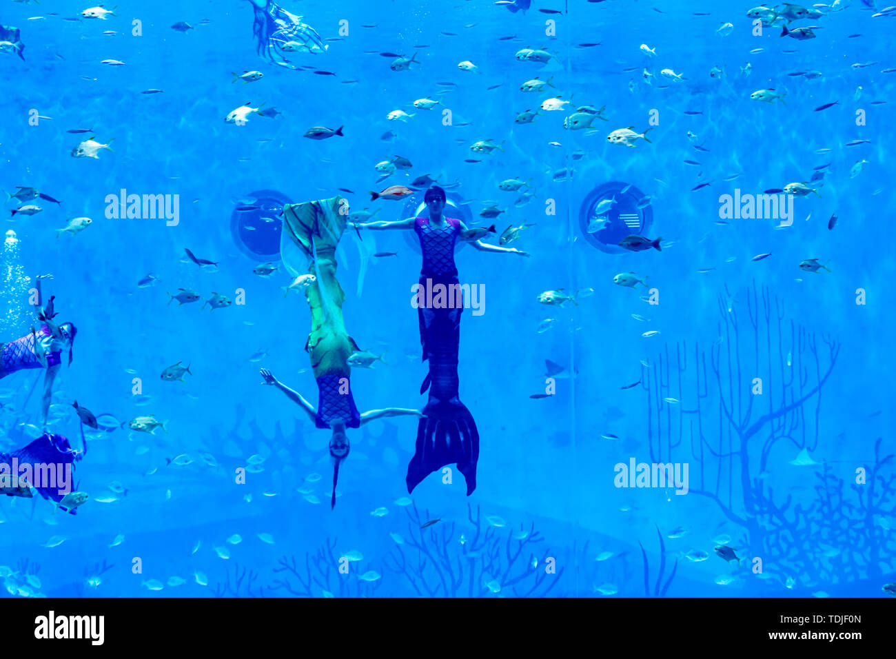 Mermaid performance at Haichang Ocean Park, Shanghai Stock Photo - Alamy