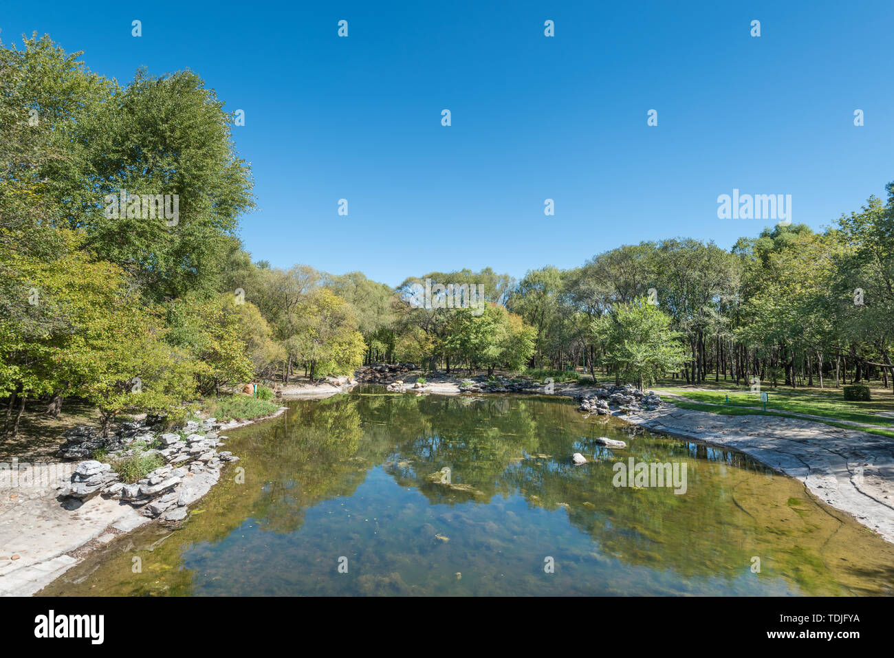 Pond woods at Sun Island scenic spot on autumn sunny day in Harbin ...