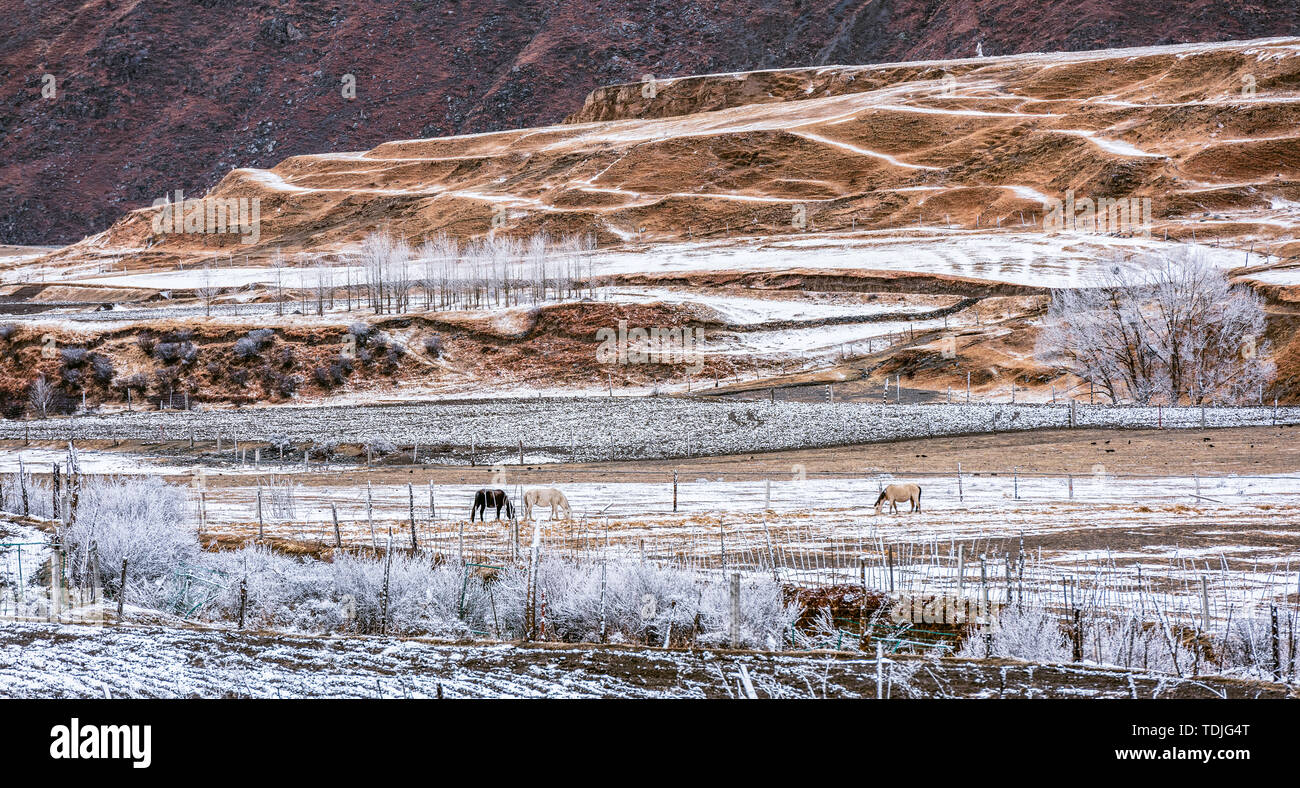 Kangding and snow mountains in western sichuan hi-res stock photography ...