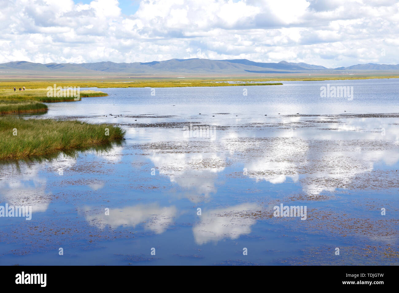 Hua aba prefecture hi-res stock photography and images - Alamy