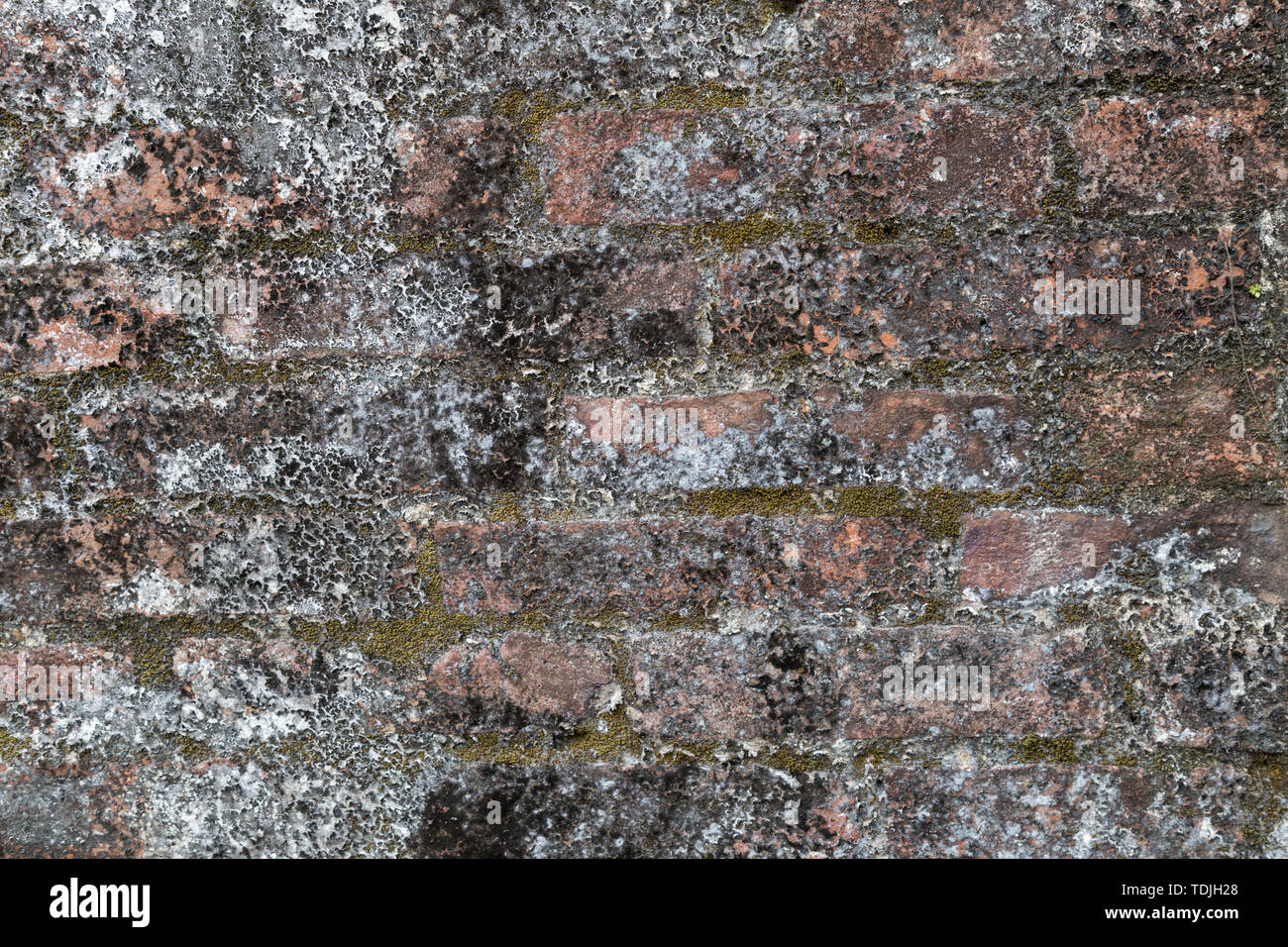 Rough cement texture wallpaper Stock Photo - Alamy