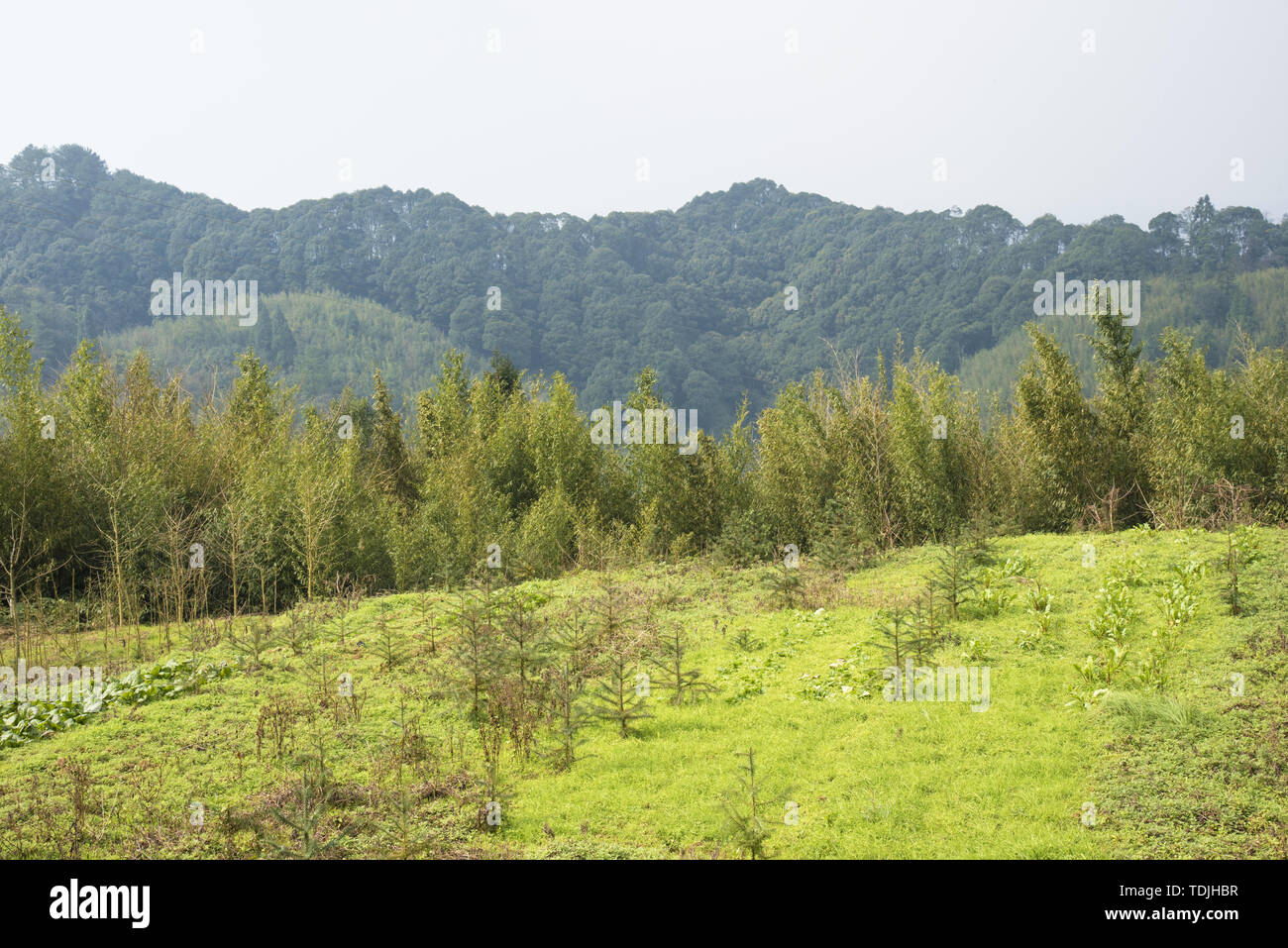 Scenery of Bashu mountains and rivers in Dazhu County, Sichuan Province ...