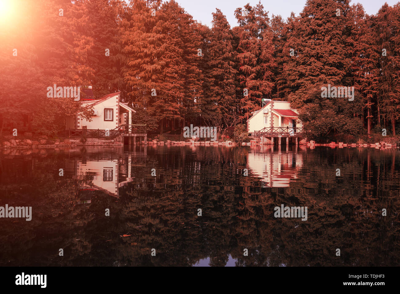 Shanghai gongqing forest park hi-res stock photography and images - Alamy