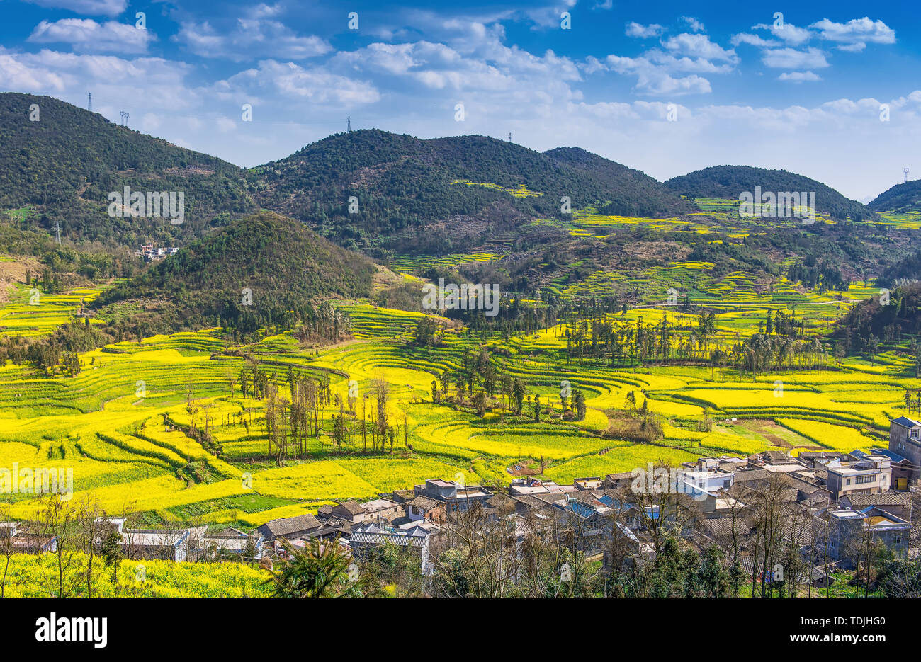 Rapopeera of Ropin Stock Photo - Alamy