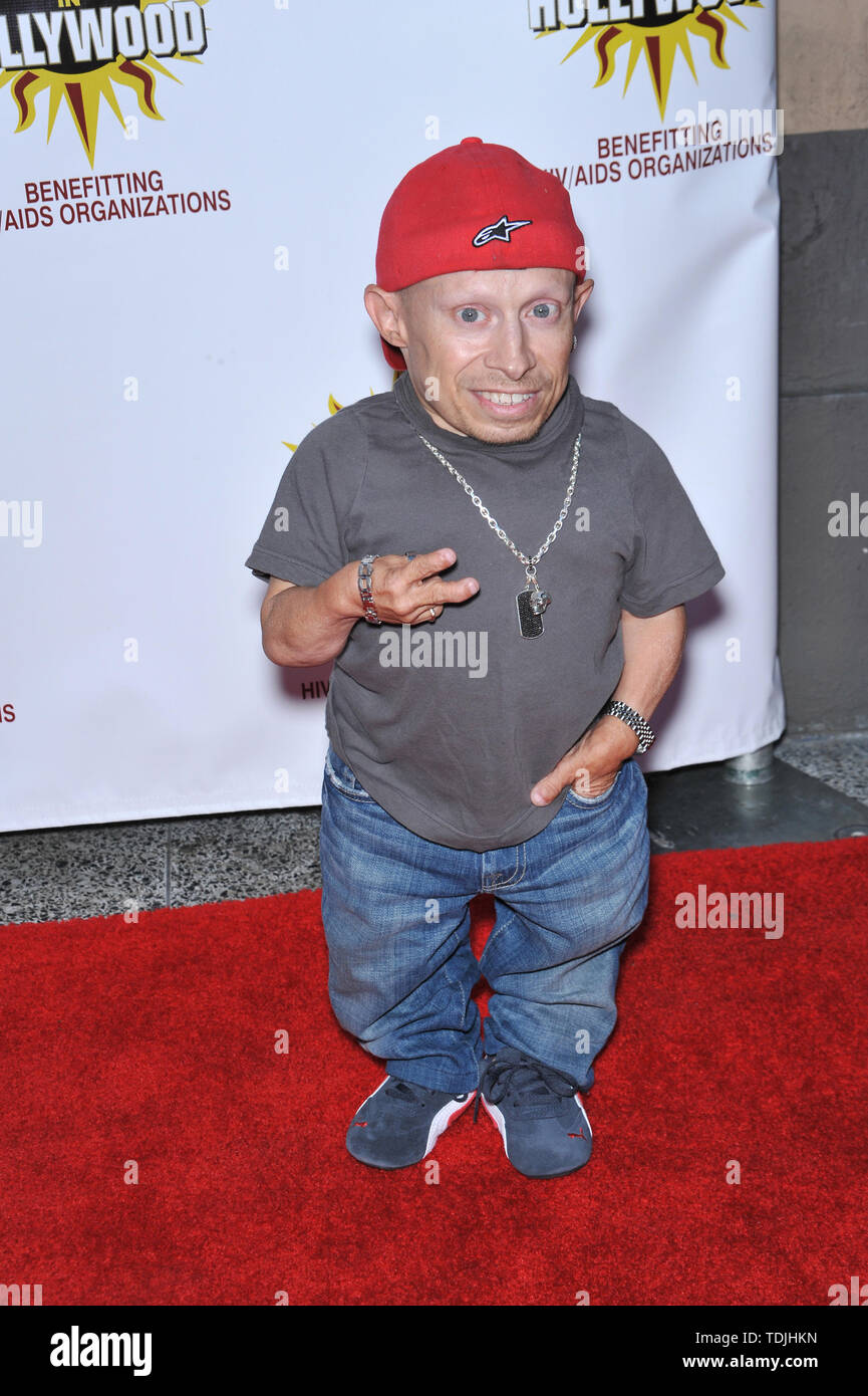 LOS ANGELES, CA. August 16, 2008: Vern Troyer at the 3rd Annual Hot in ...