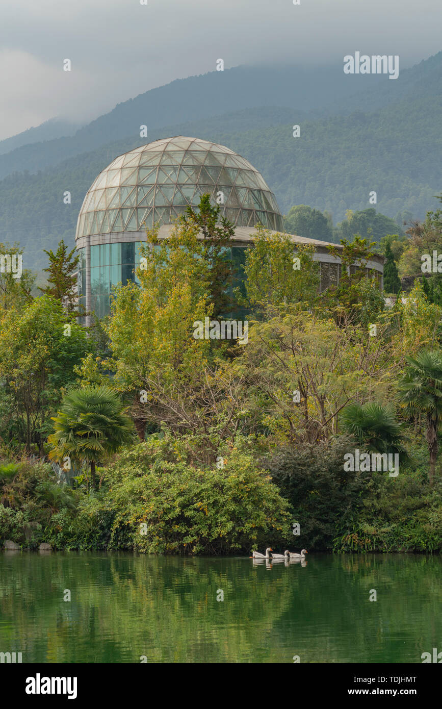 Dali Butterfly Spring Scenery High Resolution Stock Photography and ...