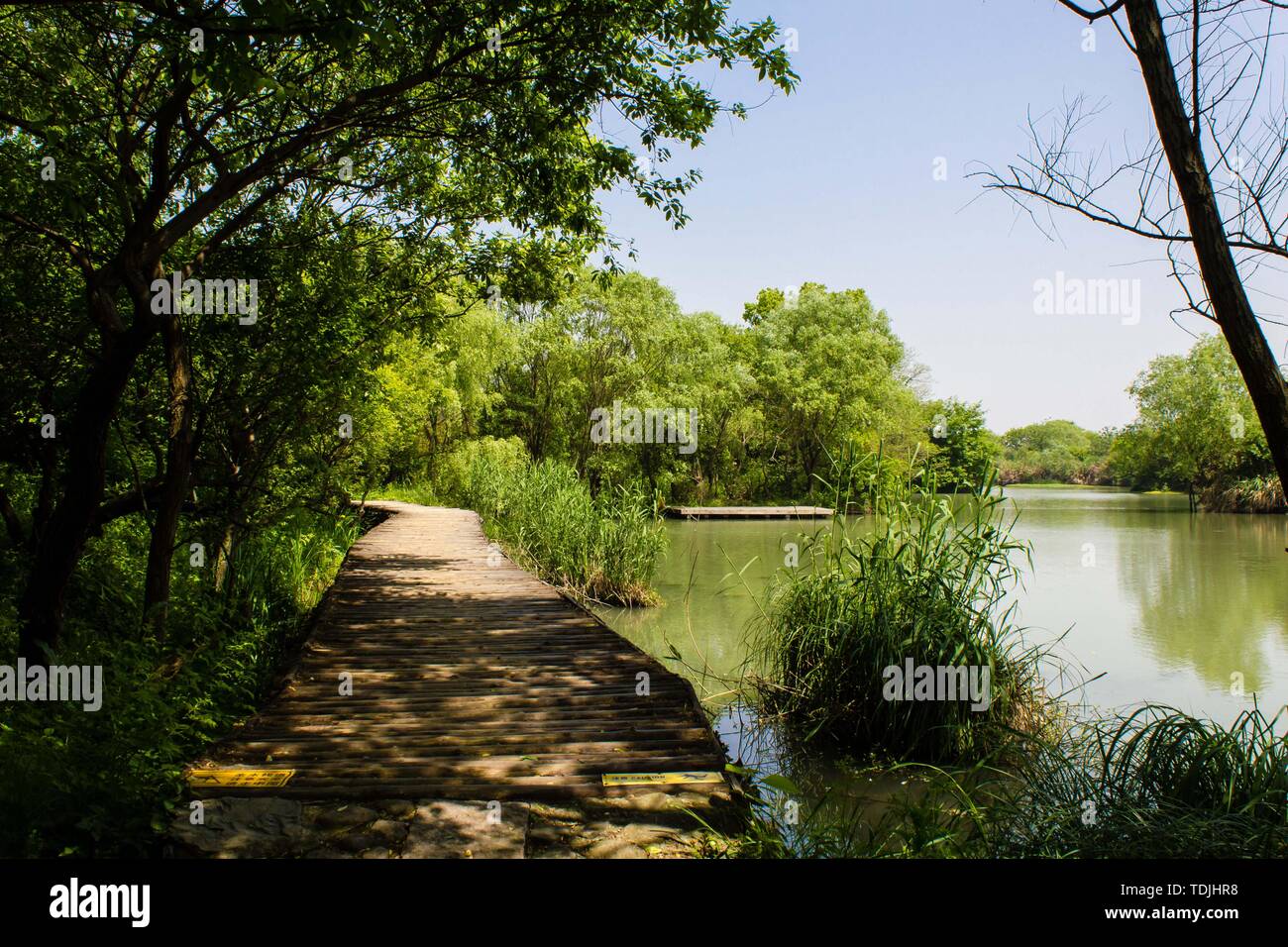 Scenery of Xixi Wetland Park in Hangzhou Stock Photo - Alamy