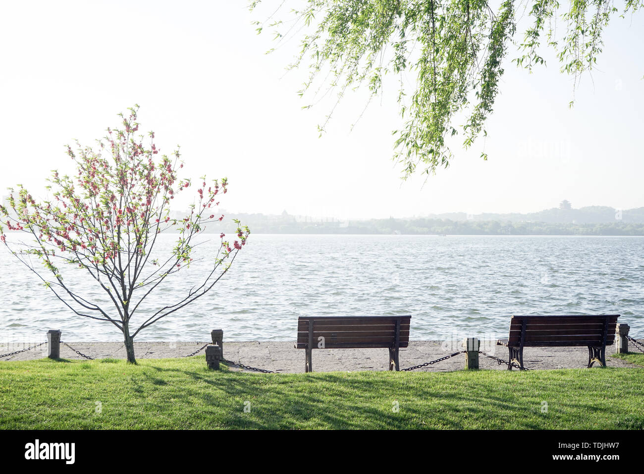 Spring color of West Lake Scenic Area Stock Photo - Alamy