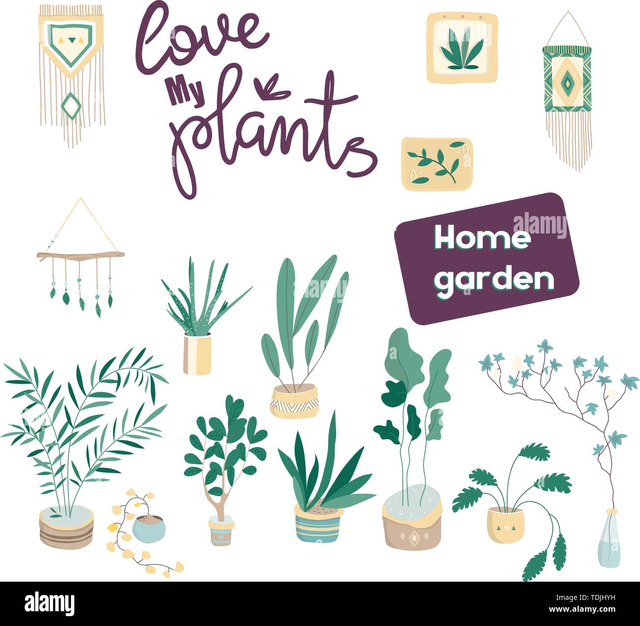 House plants. Flowerpot isolated objects, houseplant flower pot ...