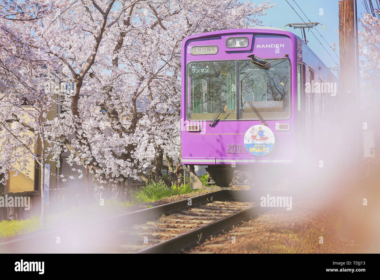 Kyoto Lan electric cherry blossom train Stock Photo - Alamy