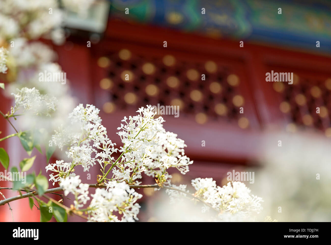 Ancient architecture of Fayuan Temple in Beijing Stock Photo - Alamy