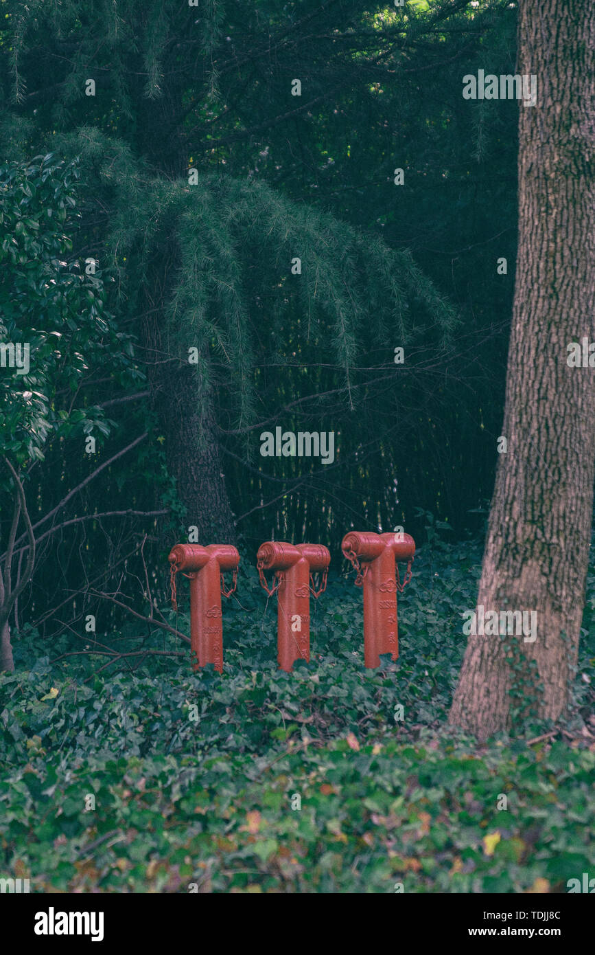 Fire hydrant in woods along Jinji Lake, Suzhou Stock Photo - Alamy