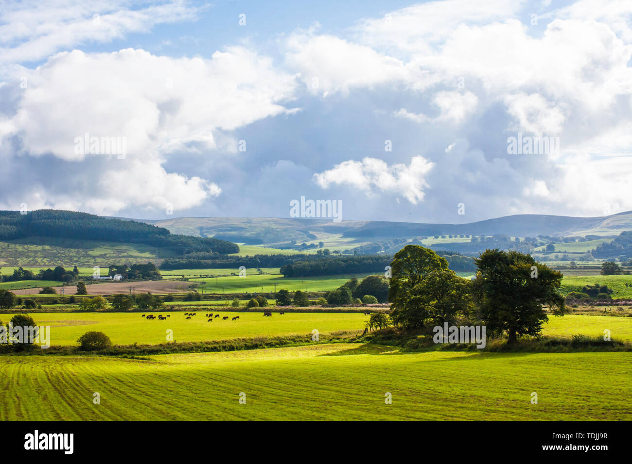 Pastoral england hi-res stock photography and images - Alamy