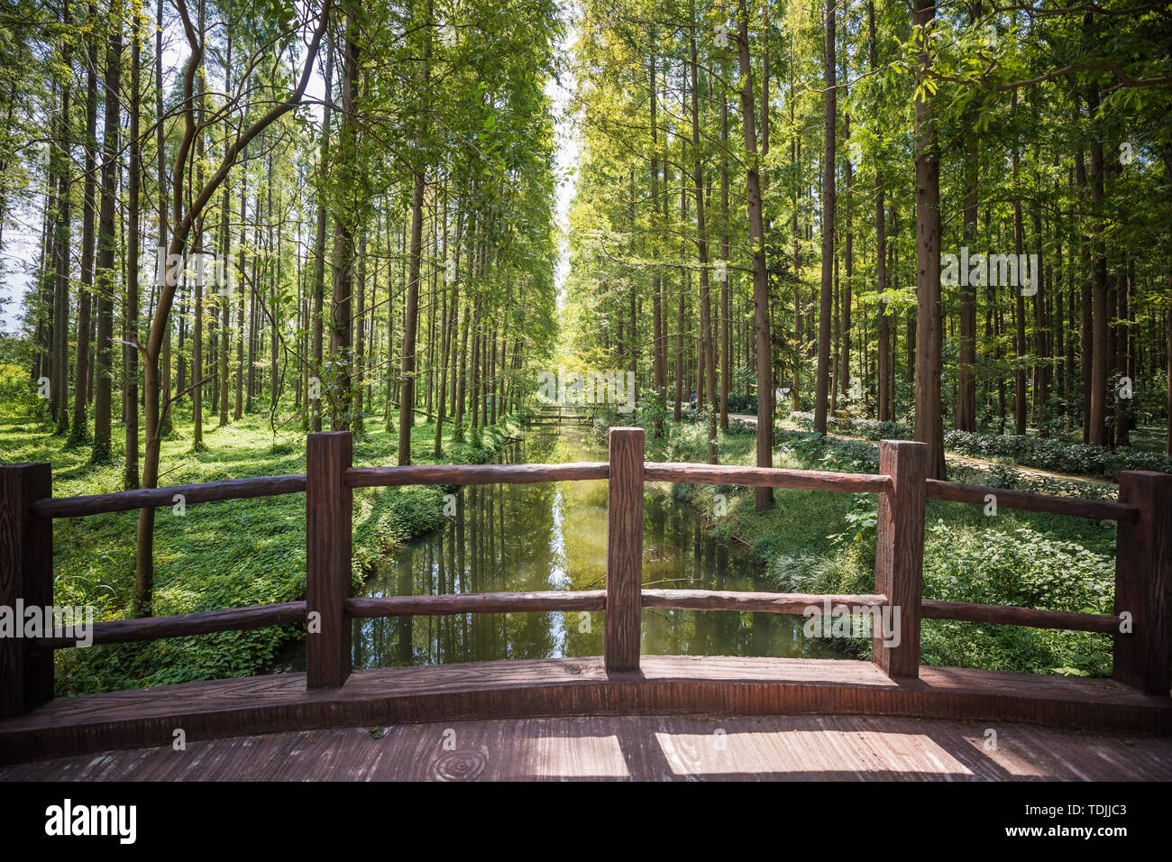 Photographed at Baoying Lake National Wetland Park, Yangzhou, September ...