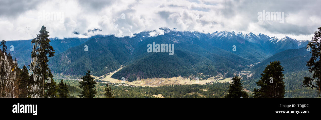 The forest scenery of Yingzhi Lulang, Tibet, China Stock Photo - Alamy
