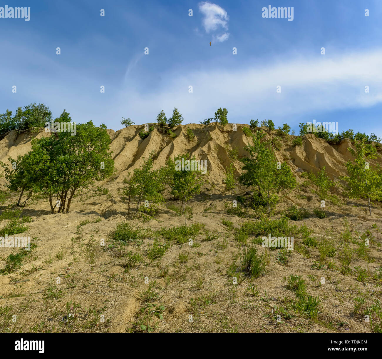 Quarries for the extraction of limestone. A mound formed by small piles ...