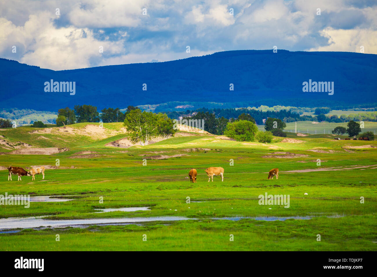 Rural and pastoral areas hi-res stock photography and images - Alamy