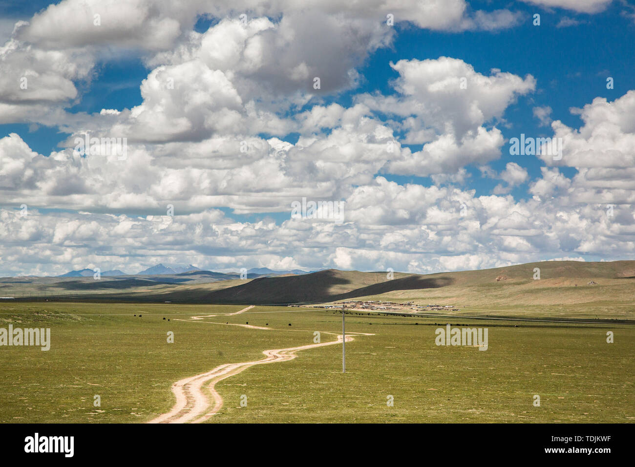 Qinghai Landscape