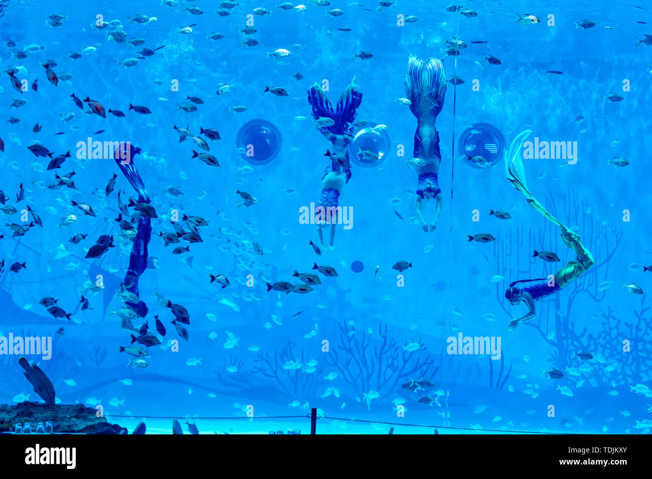 Mermaid performance at Haichang Ocean Park, Shanghai Stock Photo - Alamy