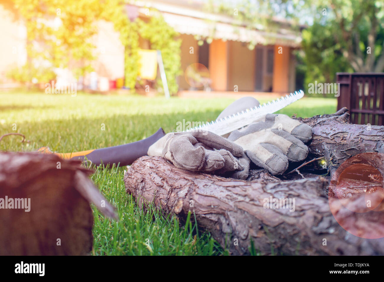 Chump hi-res stock photography and images - Alamy