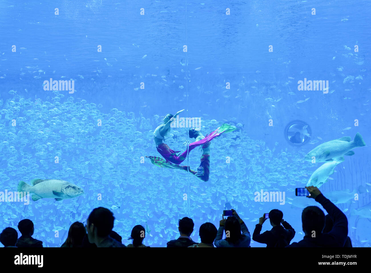 Mermaid performance at Haichang Ocean Park, Shanghai Stock Photo - Alamy