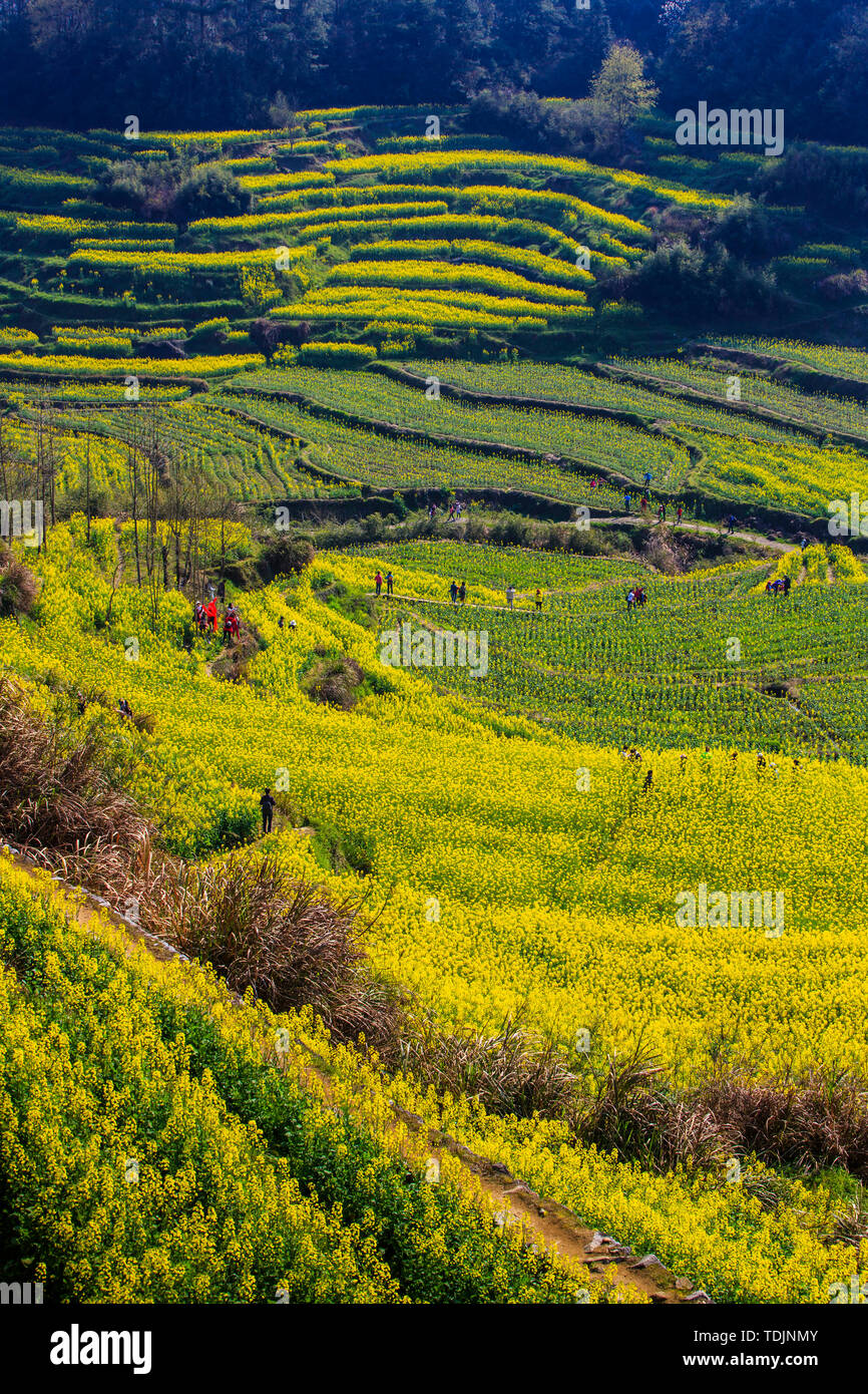 Lingshan village hi-res stock photography and images - Alamy