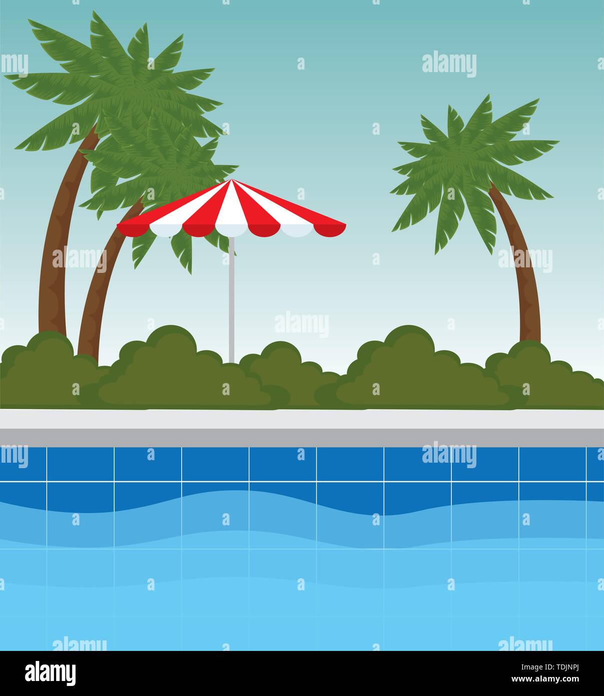 pool with palms trees and bushes plants with umbrella Stock Vector ...