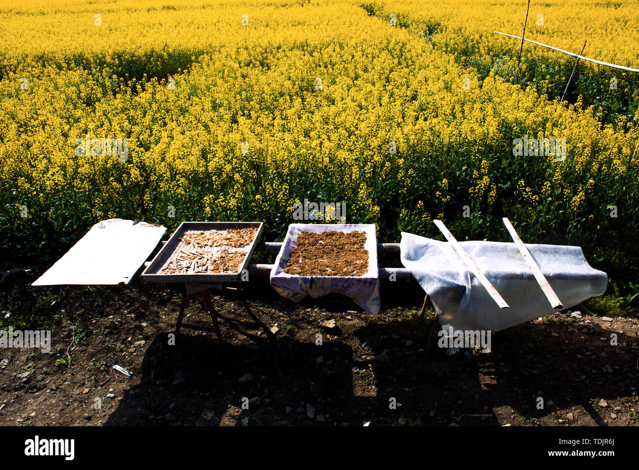 Hui school architecture hi-res stock photography and images - Alamy