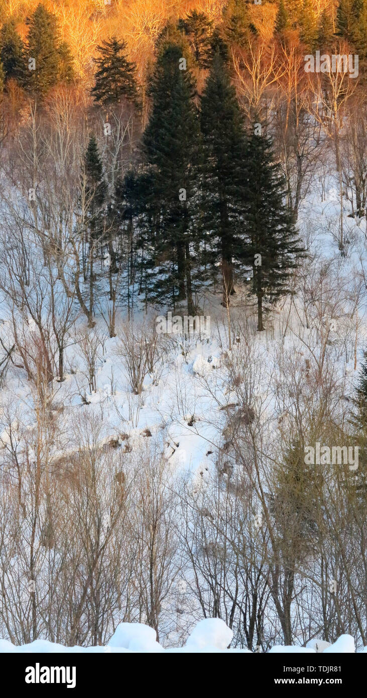 China's snow countryside is as beautiful as landscape painting Stock ...