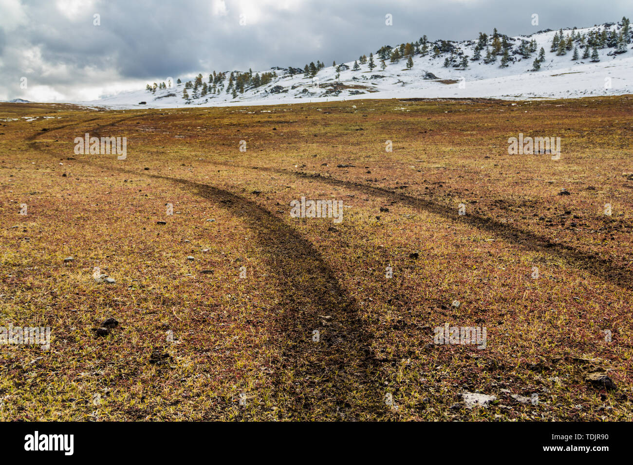 Ruts in pavement hi-res stock photography and images - Alamy